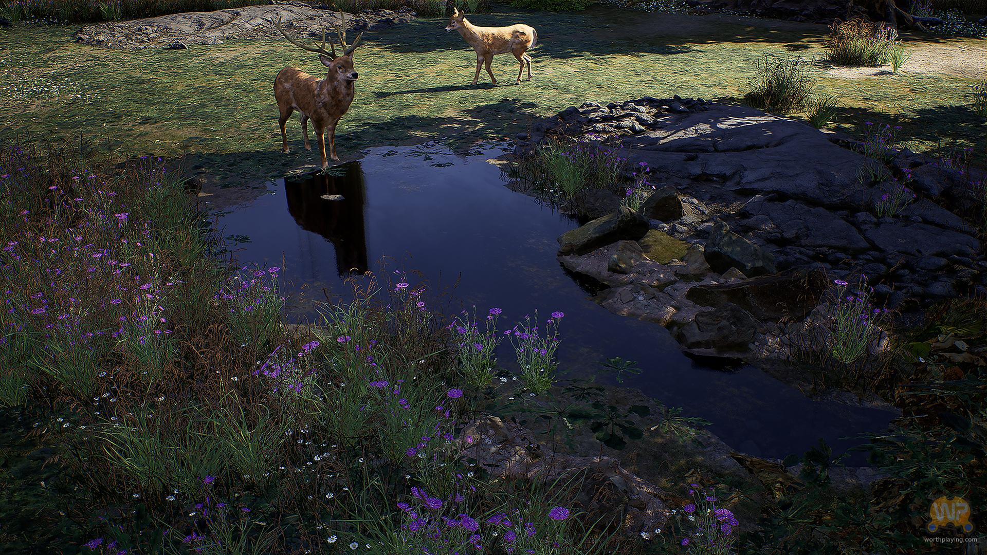 Viking City Builder to be the first RTS to support Ray Tracing and DLSS ...