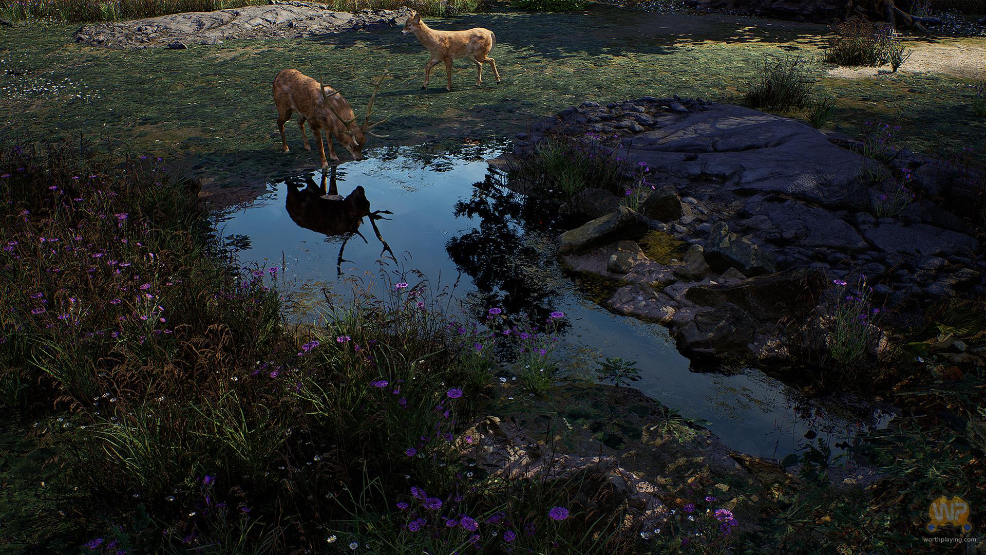 Viking City Builder to be the first RTS to support Ray Tracing and DLSS ...